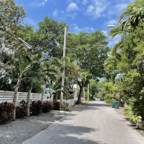 Tree Canopy: Key West editorial on mitigating the damage caused by ...